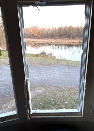 GoFundMe page for victim of horrific assault and home invasion in ...