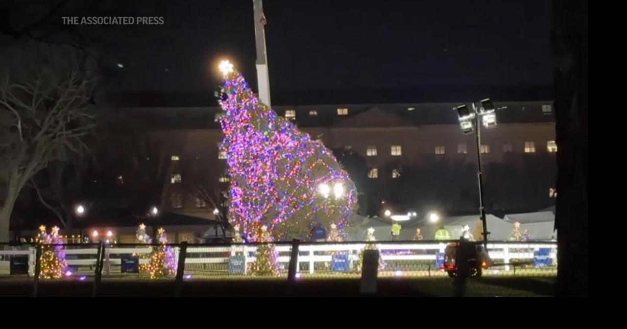 National Christmas Tree is back upright after it toppled | | fltimes.com