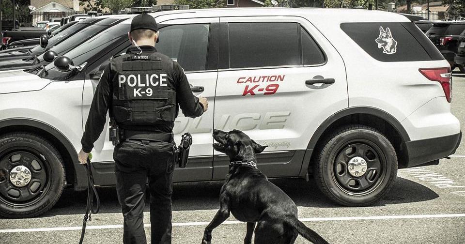 Police dog helps officers find autistic child who went missing in ...