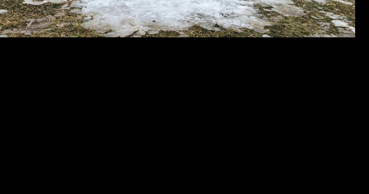 Rain goes away, but fond memories of snow day in Fontana on Feb. 25 ...