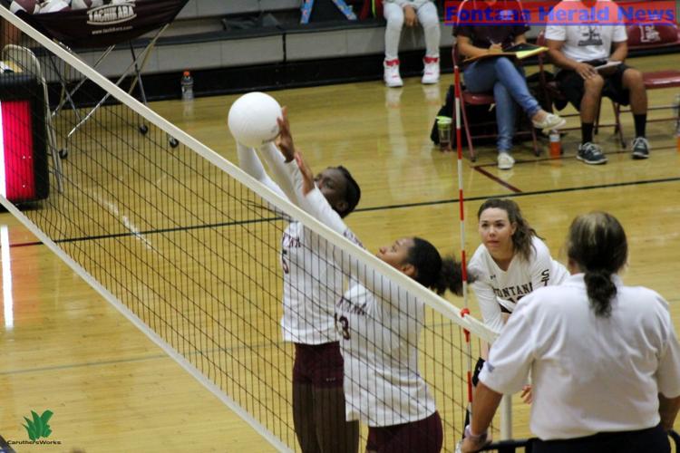 Local teams aim for high honors in volleyball; see photos | Sports ...