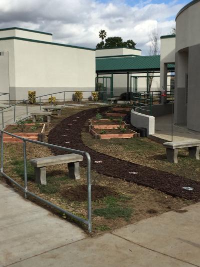 Mango Elementary School gets new reading garden thanks to grant funds ...
