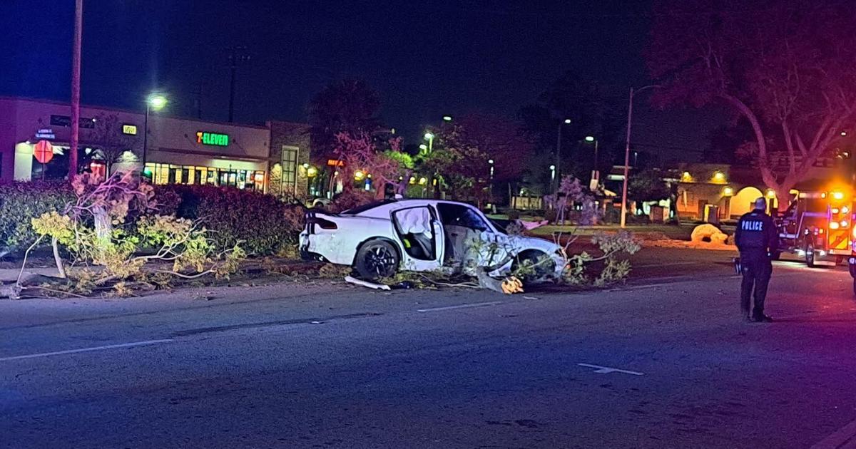 Woman Is Arrested After Her Vehicle Crashes Into Tree In Fontana News