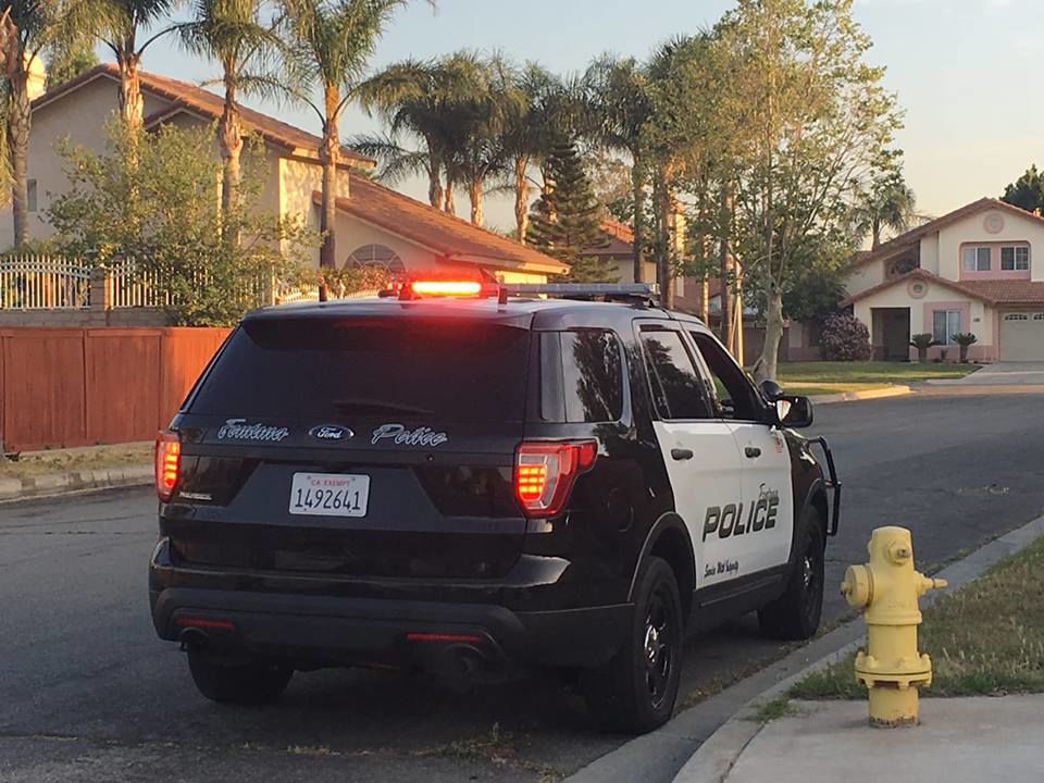 Suspect Is Arrested As Police Investigate Domestic Violence Situation