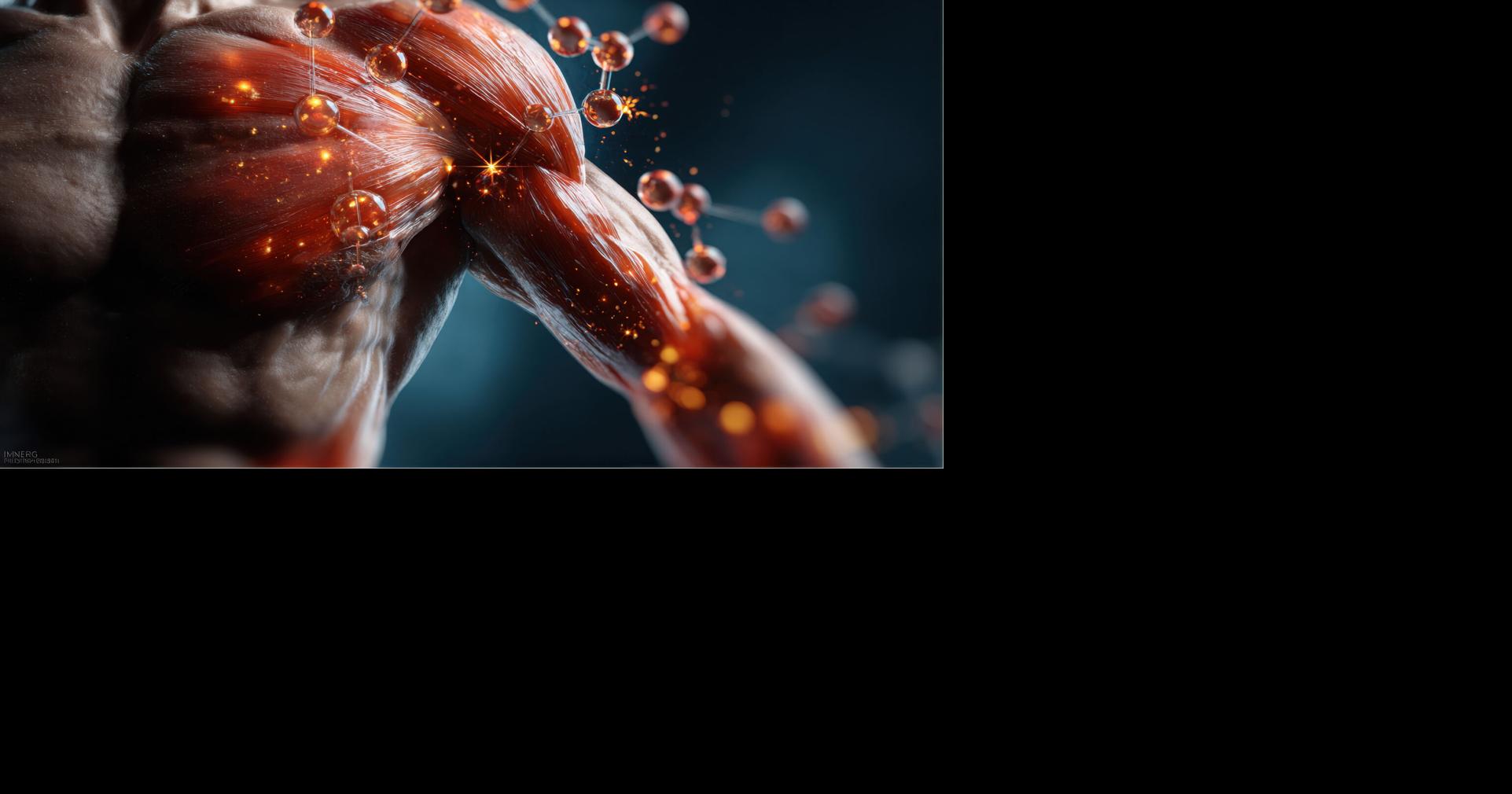 Regenerative Synergy Research: BPC‑157 and TB‑500 Peptide Blend ...