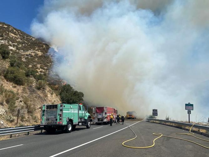 Vegetation fire caused by single-vehicle accident burns 35 acres in ...