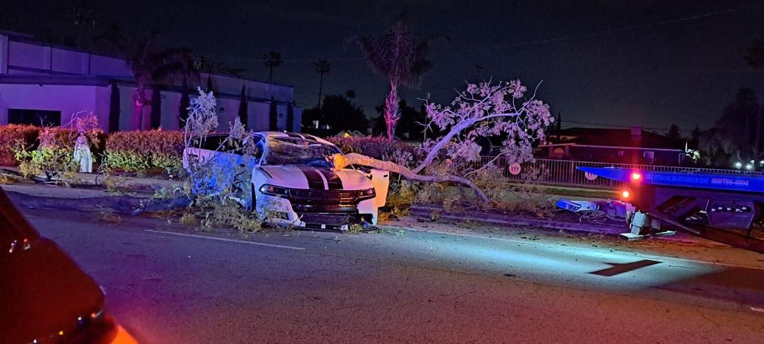 Woman Is Arrested After Her Vehicle Crashes Into Tree In Fontana News