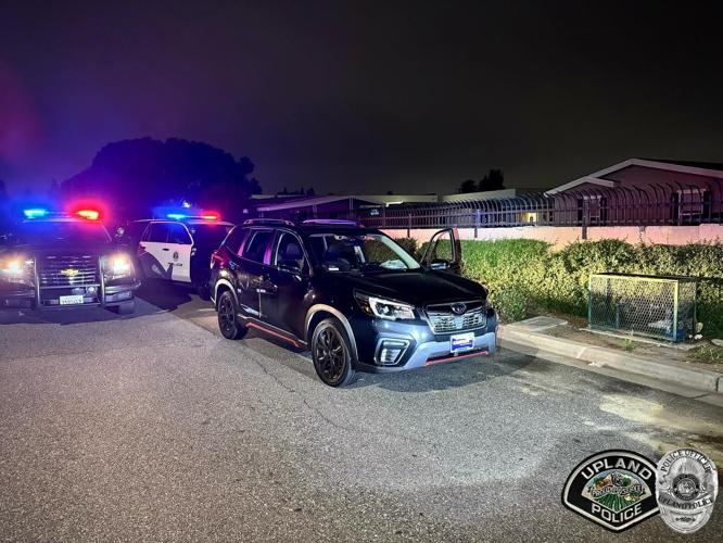 Suspect is arrested after trying to flee from police by running into ...