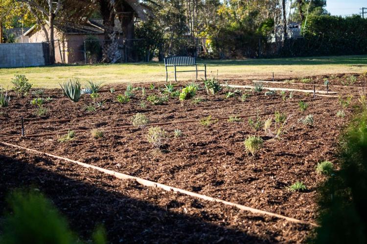 Unity Garden is dedicated in memory of family victimized by violence in ...