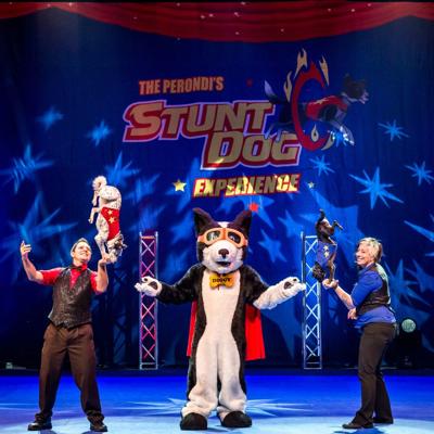 Stunt dogs will be in Rancho | Entertainment | fontanaheraldnews.com