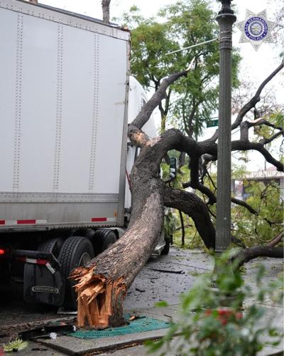 Semi-truck crashes into tree | Inland Empire News | fontanaheraldnews.com