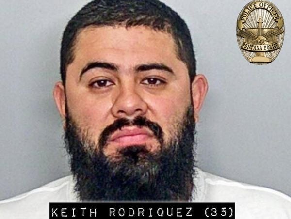 Convicted felon is arrested after several weapons and marijuana plants are allegedly found at ...