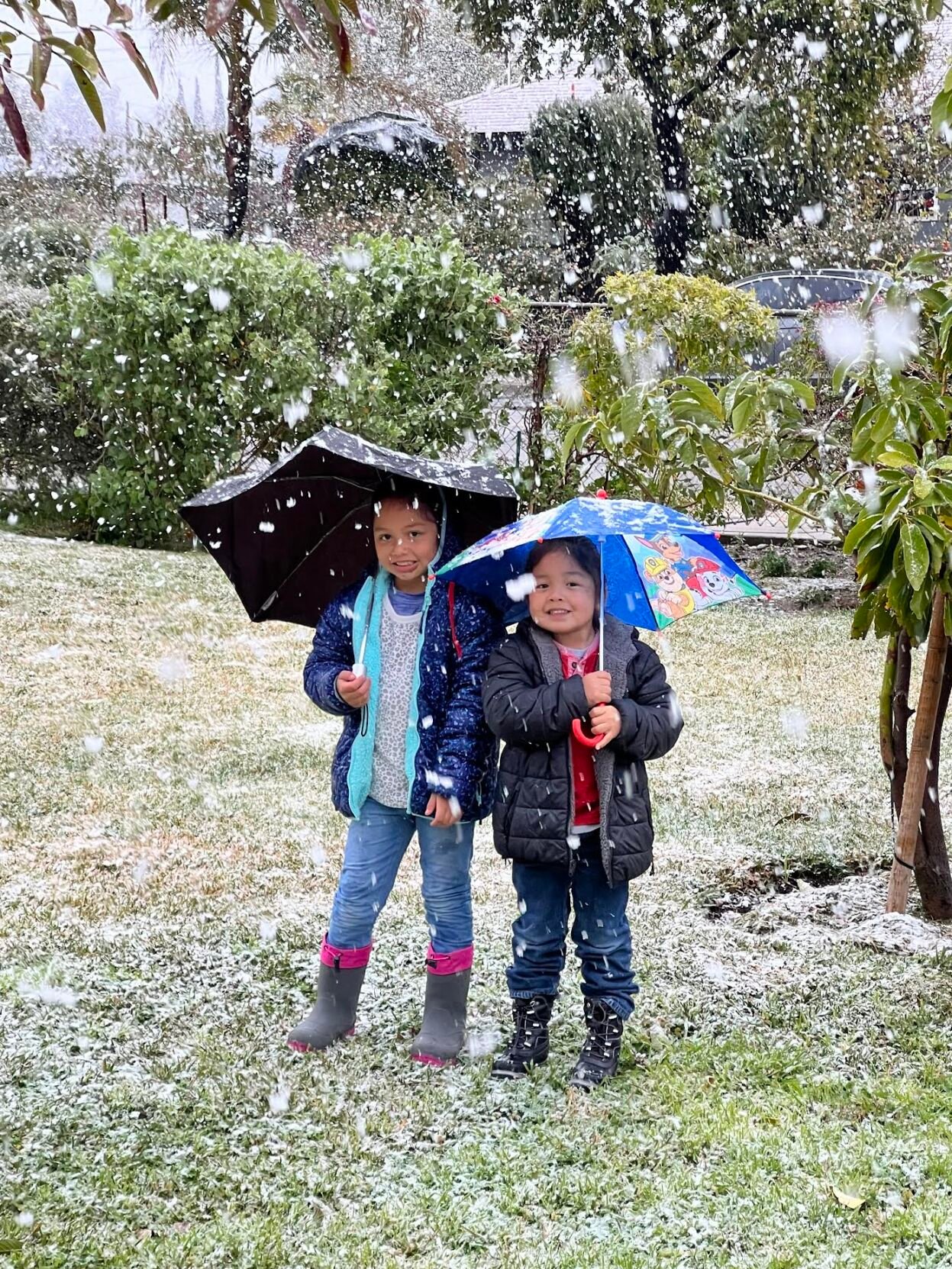 Fontana residents see a very rare sight on Feb. 25 -- snow; see photos ...