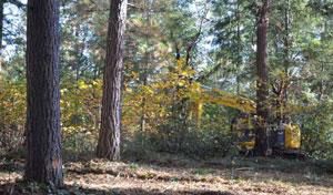 Expanded Views and Fire Safety Enhancements through Fuel Reduction ...