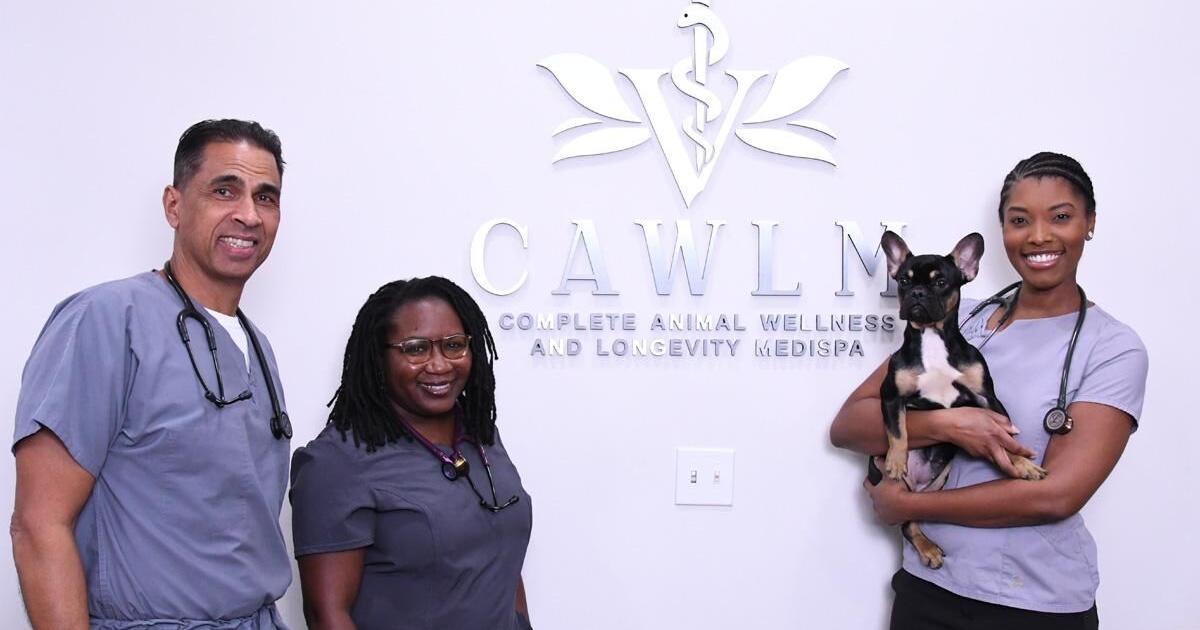 smiling turtle wendell