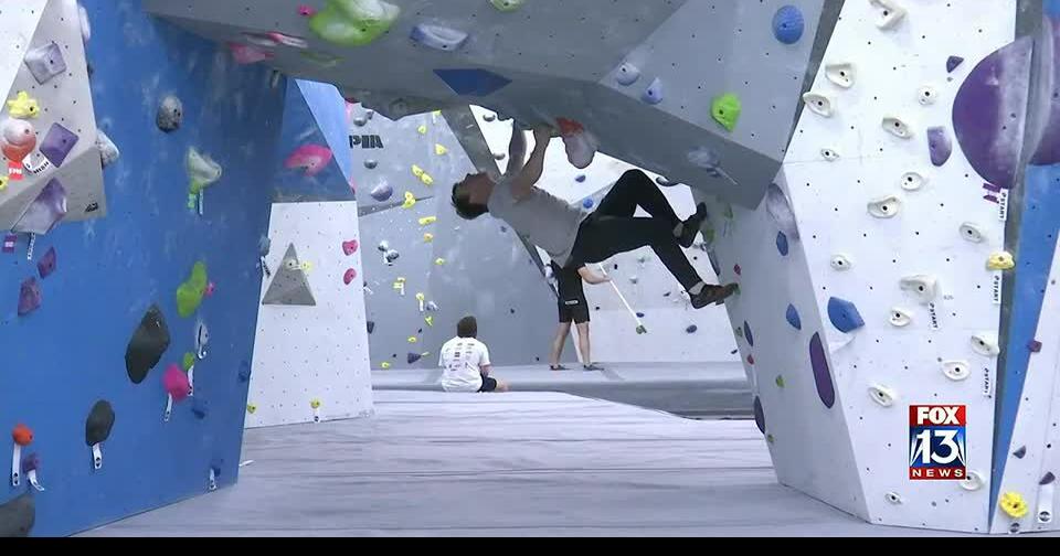 Memphis Rox: Local gym helps community climb to new heights | News ...