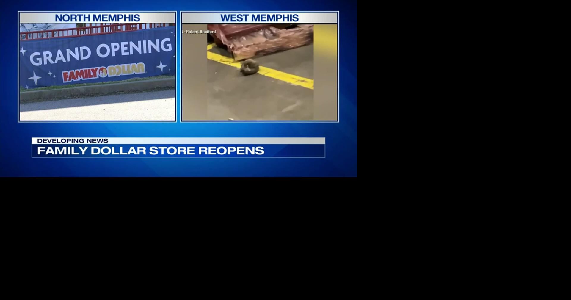 Some Family Dollar stores reopening following rat infestation at ...