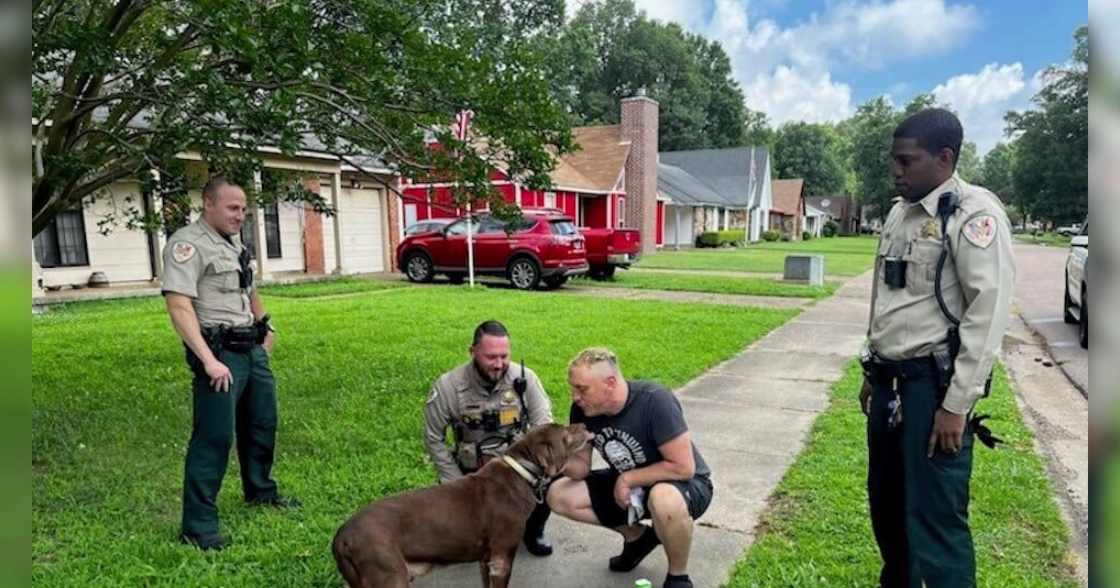 Man reunited with dog after it was taken during carjacking | News ...