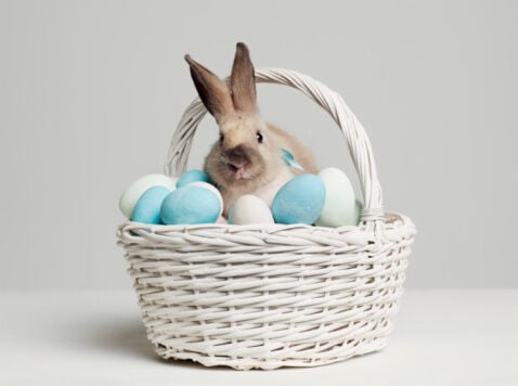 When was easter in 2019 store