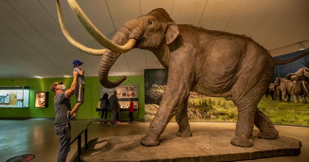 Mammoth tusk discovered off California coast, nearly 2 miles underwater ...