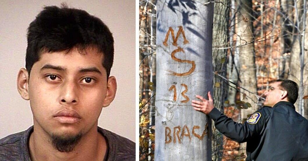 MS-13 gang member gets 30-year sentence in killing of Virginia teen ...