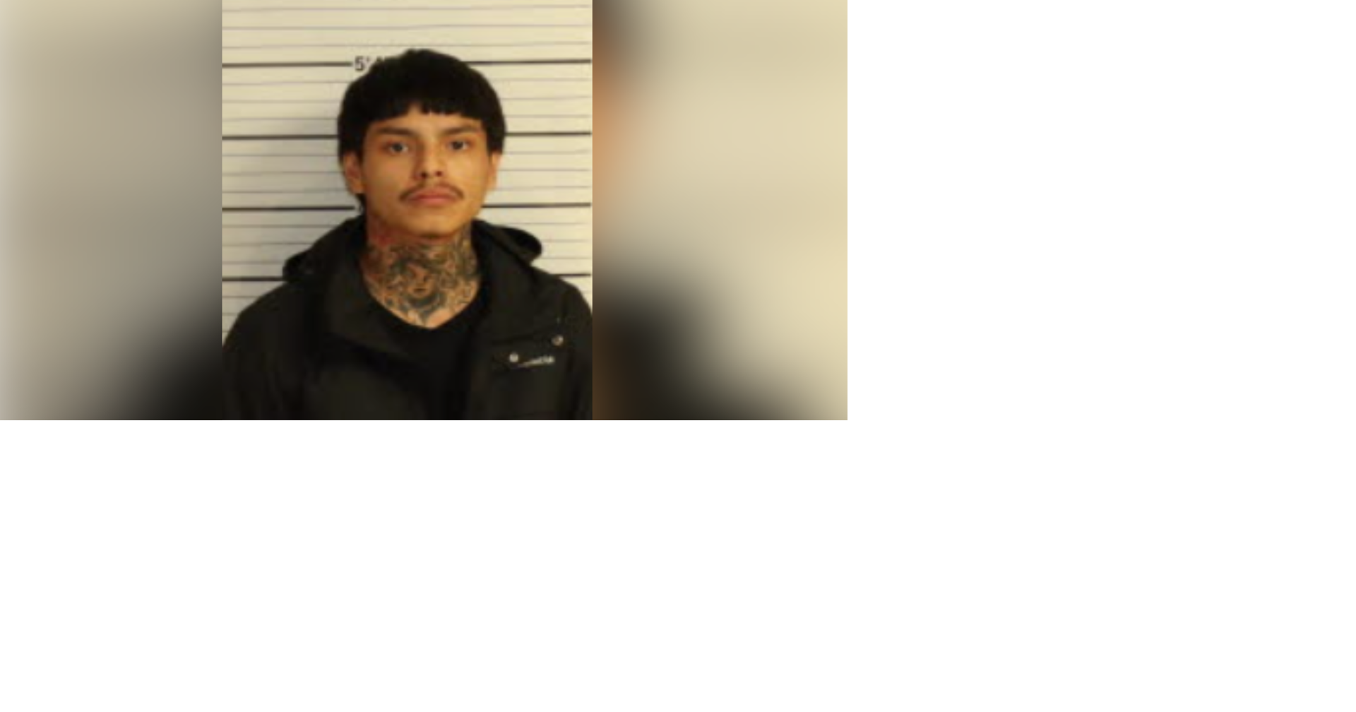 Teen, Man arrested carjacking, shooting in Parkway Village | News ...