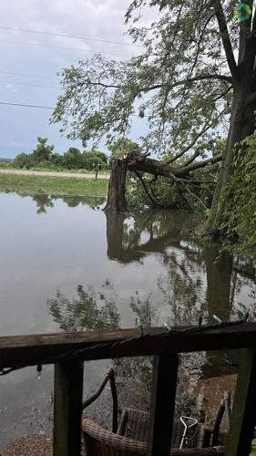 PHOTOS: Heavy rain, storms knock down trees, cause flooding across the ...