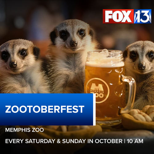 Fall means get up and get out: This weekend's happenings | Community ...