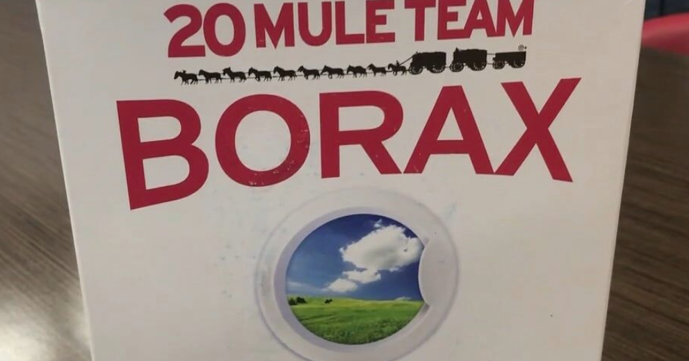 'Very absurd': Borax challenge encourages TikTok users to drink ...