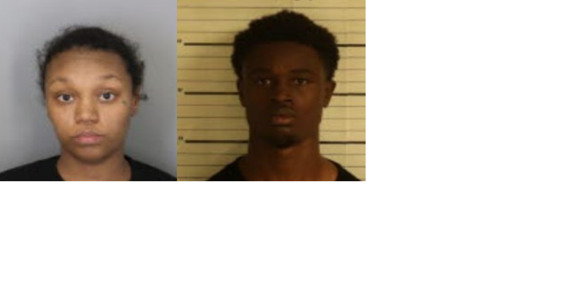 Two charged in connection to chop shop in Whitehaven, police say | News ...