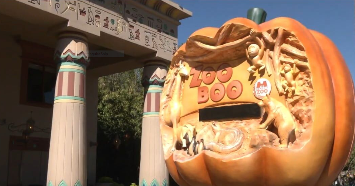 Get spooky as Zoo Boo at Memphis Zoo returns | News | fox13memphis.com