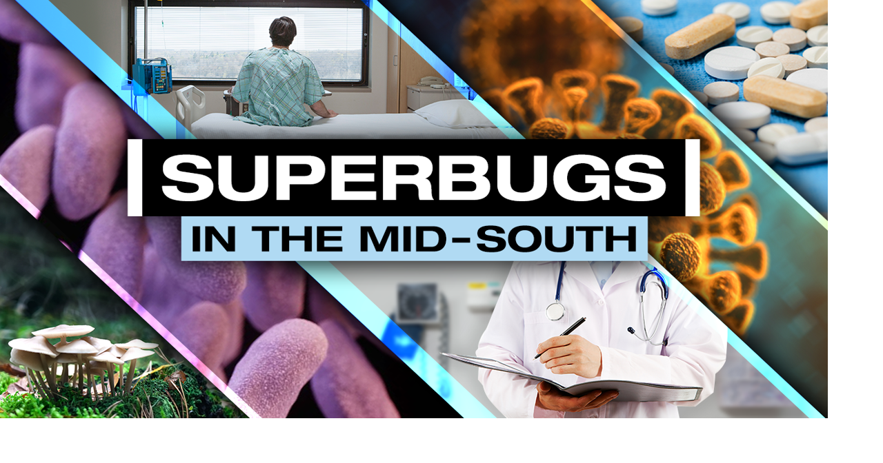 FOX13 Investigates superbug infections in the Mid-South | Health ...