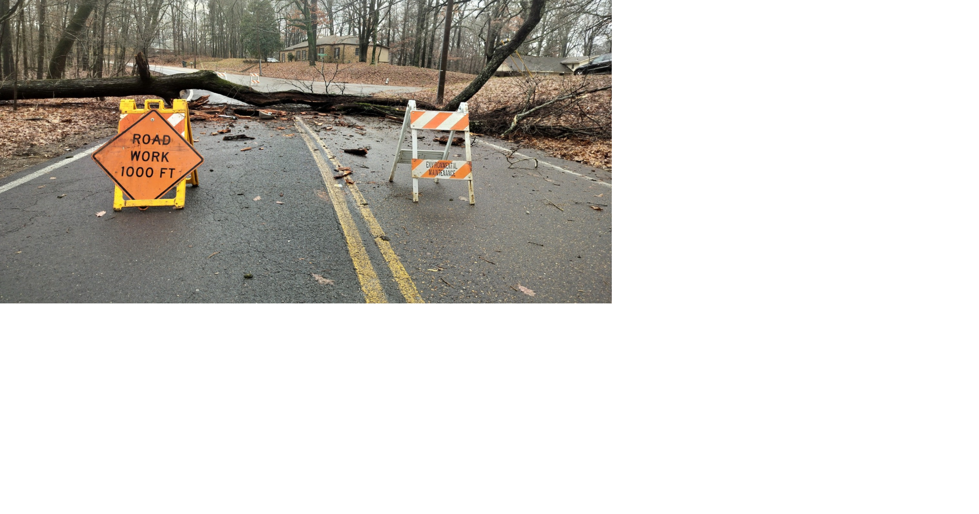 Car runs into tree blocking road in Oakhaven, MPD says | News ...