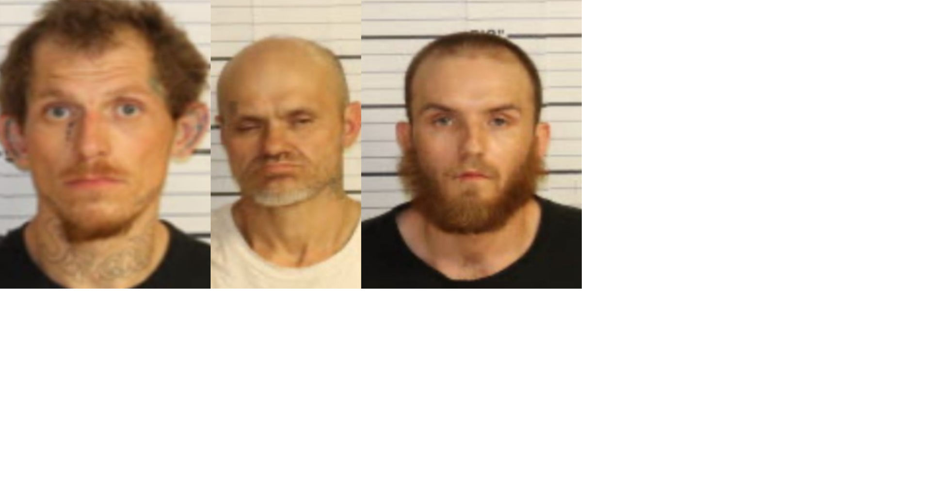 Third arrest made after man shot during Mud Island robbery | News ...