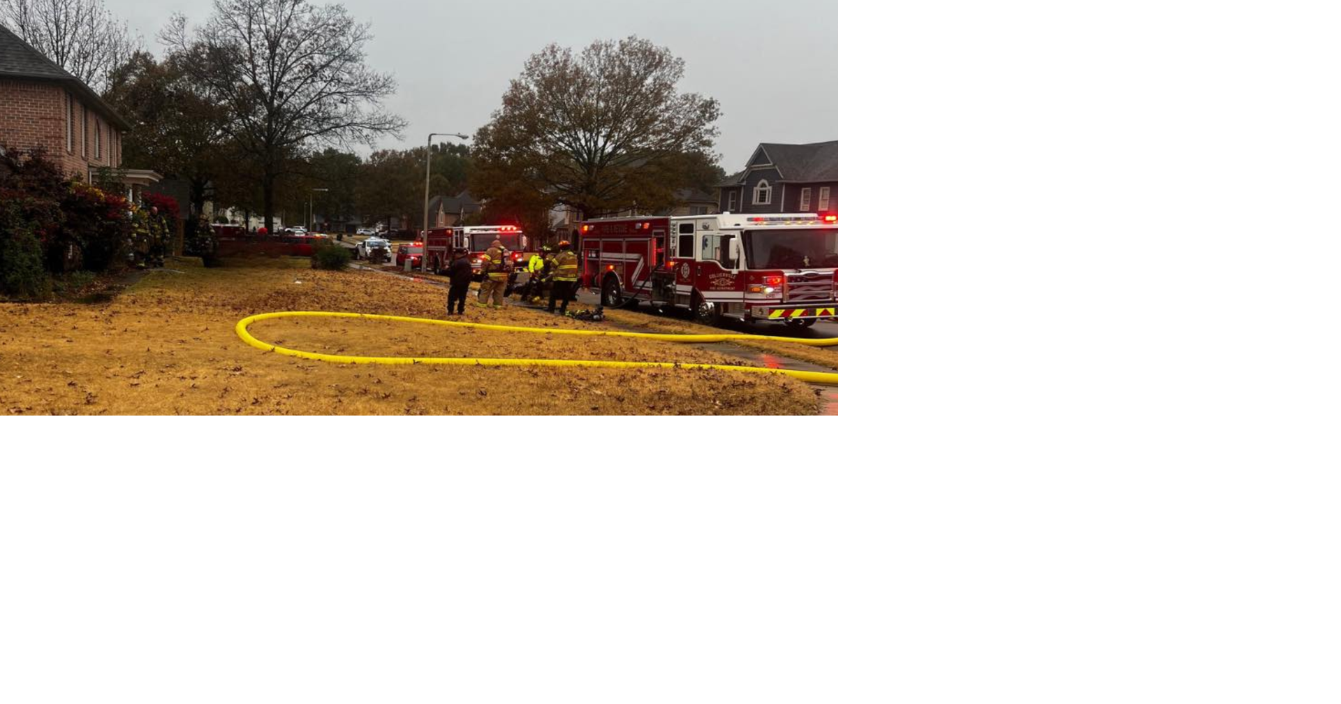 Two dogs killed in Collierville house fire, officials say | News ...