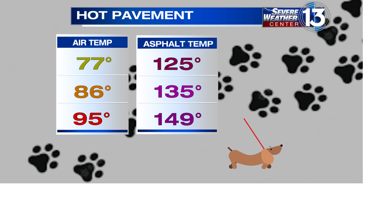 Tips on how to keep your dogs safe from hot pavement | News ...
