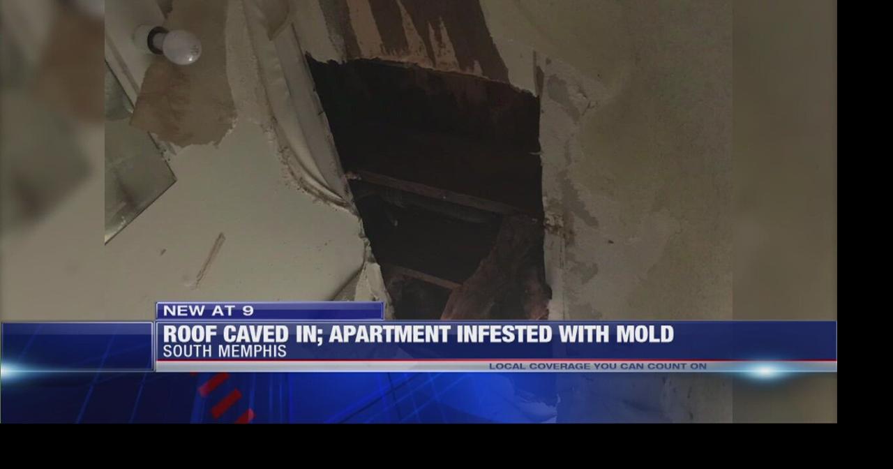 Memphis woman homeless after mold-infested apartment roof caves in ...
