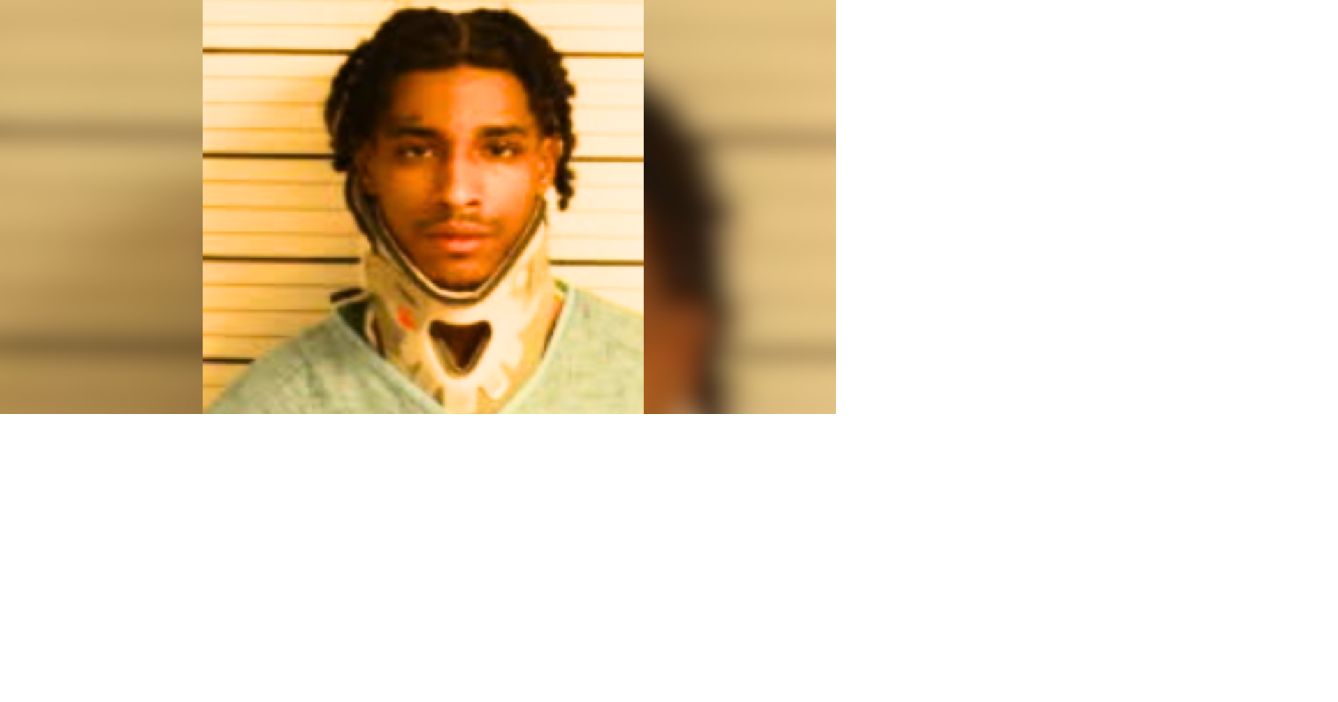 Memphis crime spree suspect indicted on 48 charges | News ...