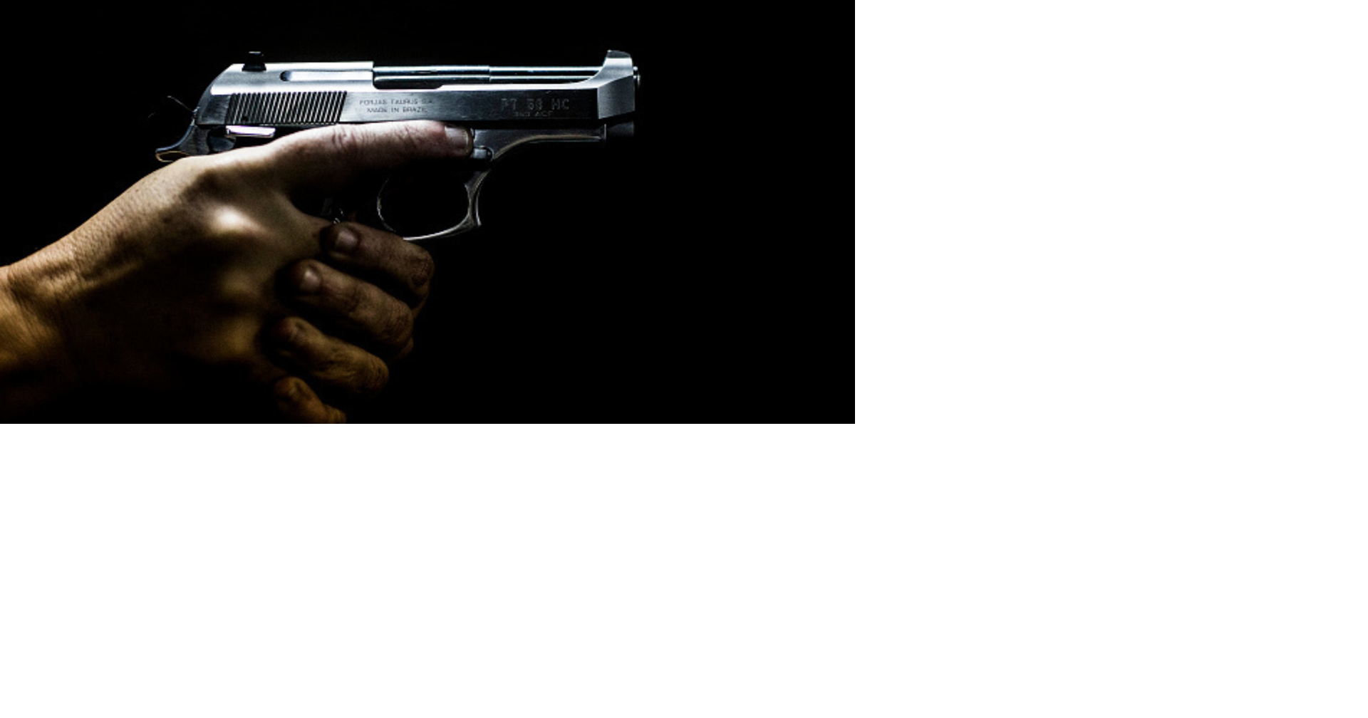 Panel rules two Tennessee gun laws unconstitutional | News ...