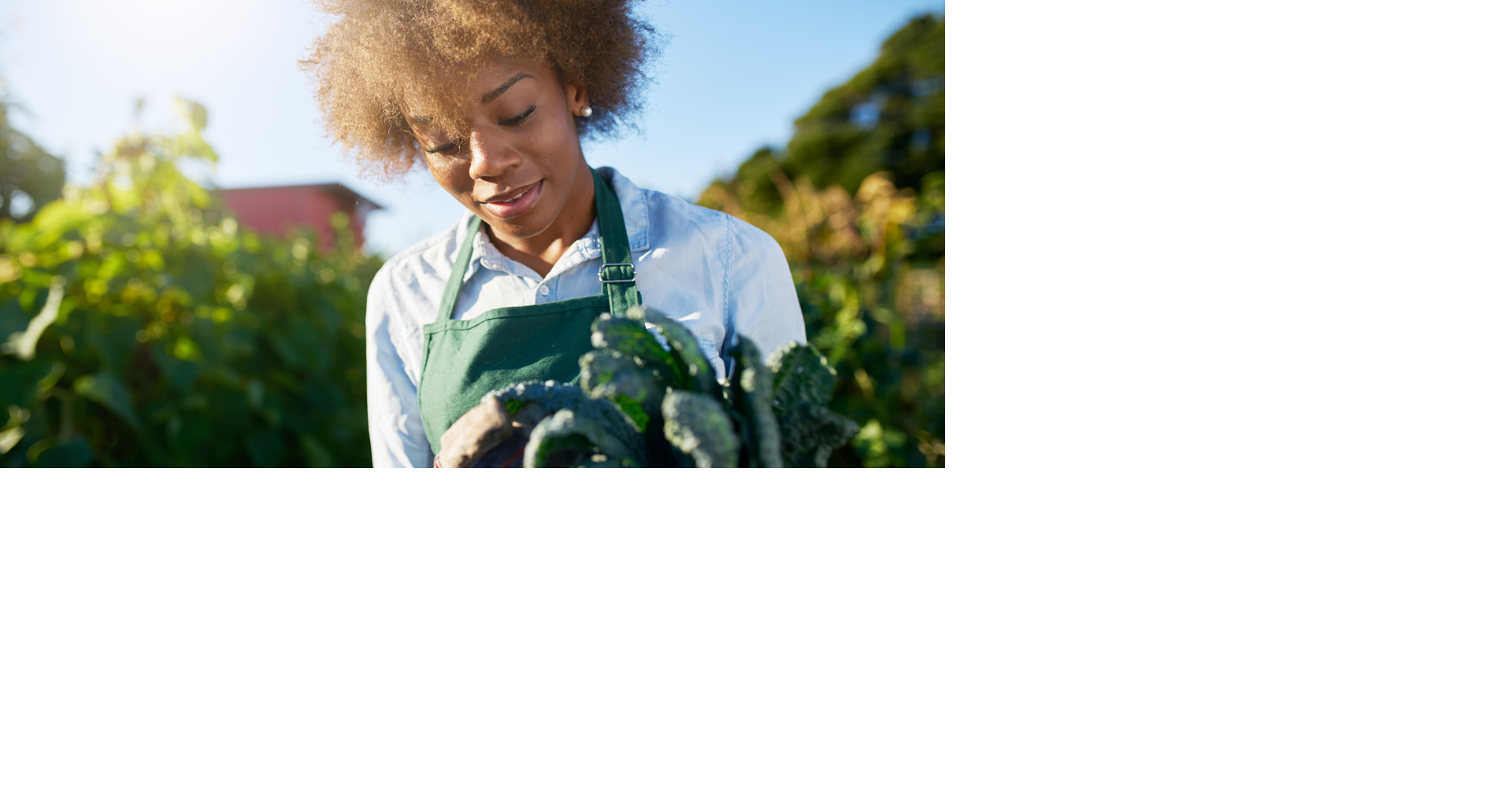 USDA program pumps $263 million toward training new diverse agriculture ...