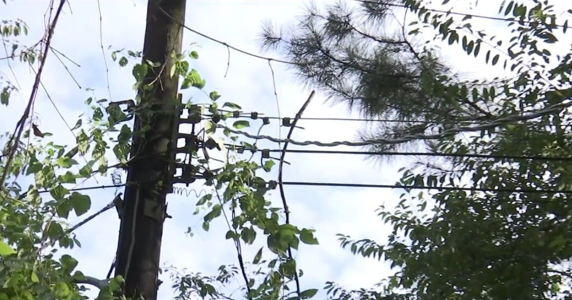 Raleigh neighbors say they're neglected during MLGW power outages ...