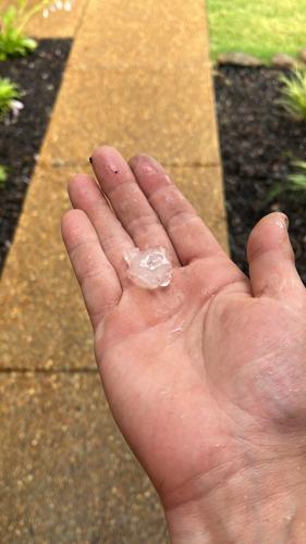 PHOTOS: Rain, hail fall during Mid-South thunderstorms | | fox13memphis.com