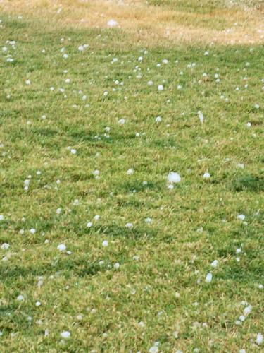 PHOTOS: Rain, hail fall during Mid-South thunderstorms | | fox13memphis.com