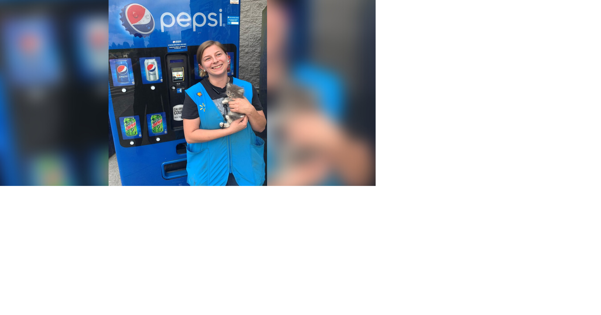 Kitten rescued from a Tennessee Walmart vending machine | Trending ...
