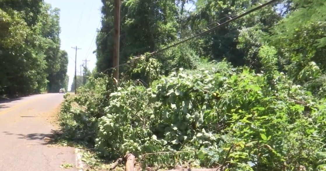 FOX13 Investigates: Why do Memphis power outages keep happening? | News ...