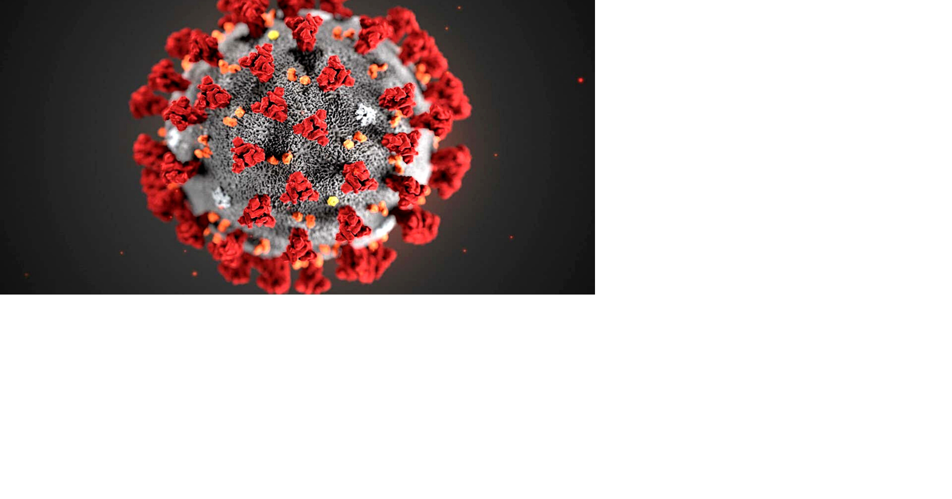 Deadly fungus outbreak in Middle Tennessee raises concerns about risk ...