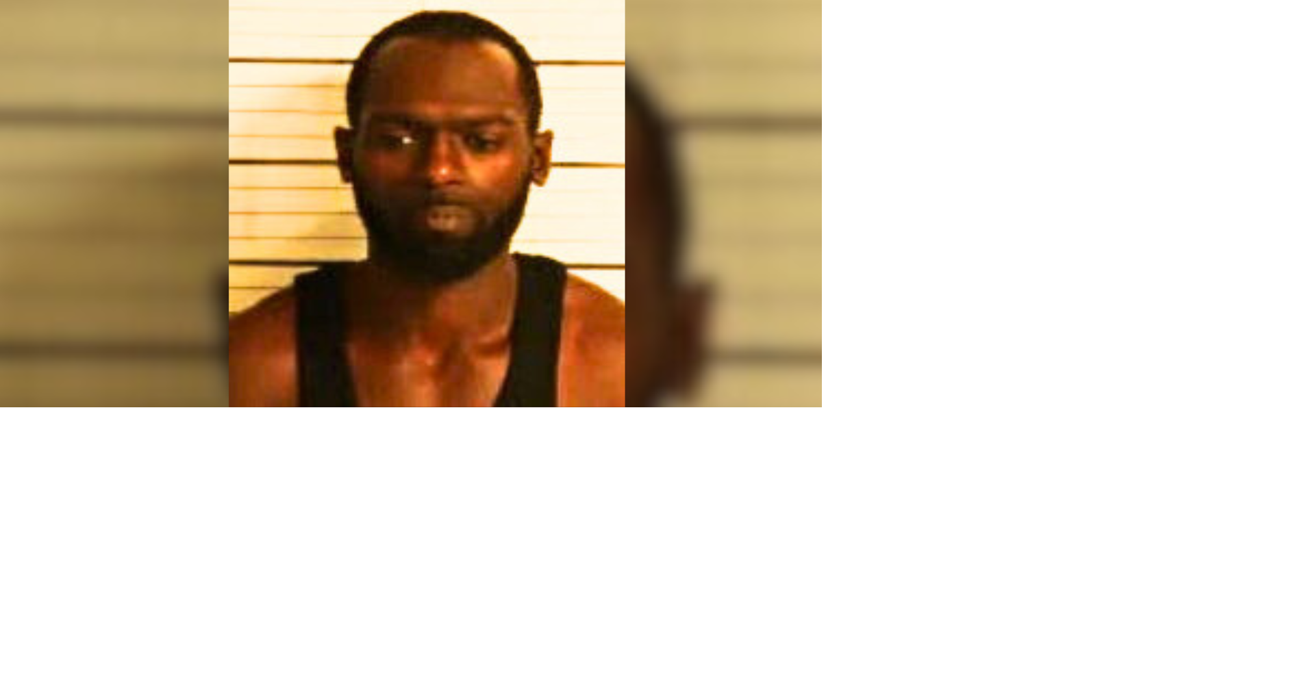 Police: Hiding in the bushes, man fires gunshots at two women | News ...