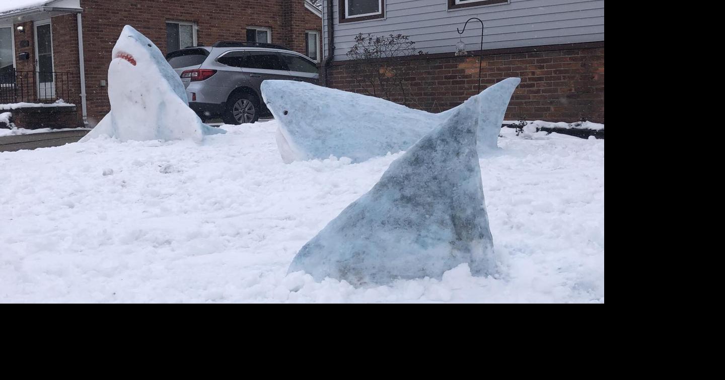 She’s going to need a bigger lawn: Art teacher creates sharks out of ...