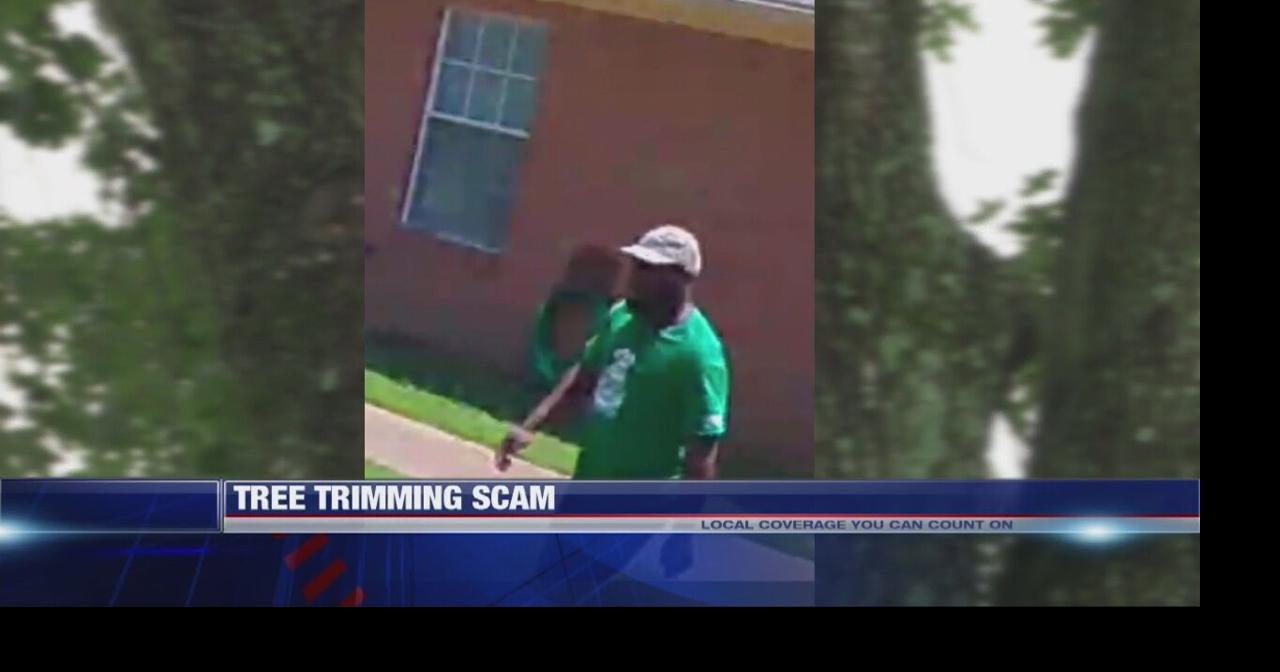 WATCH: Tree Trimming Scam | News | fox13memphis.com
