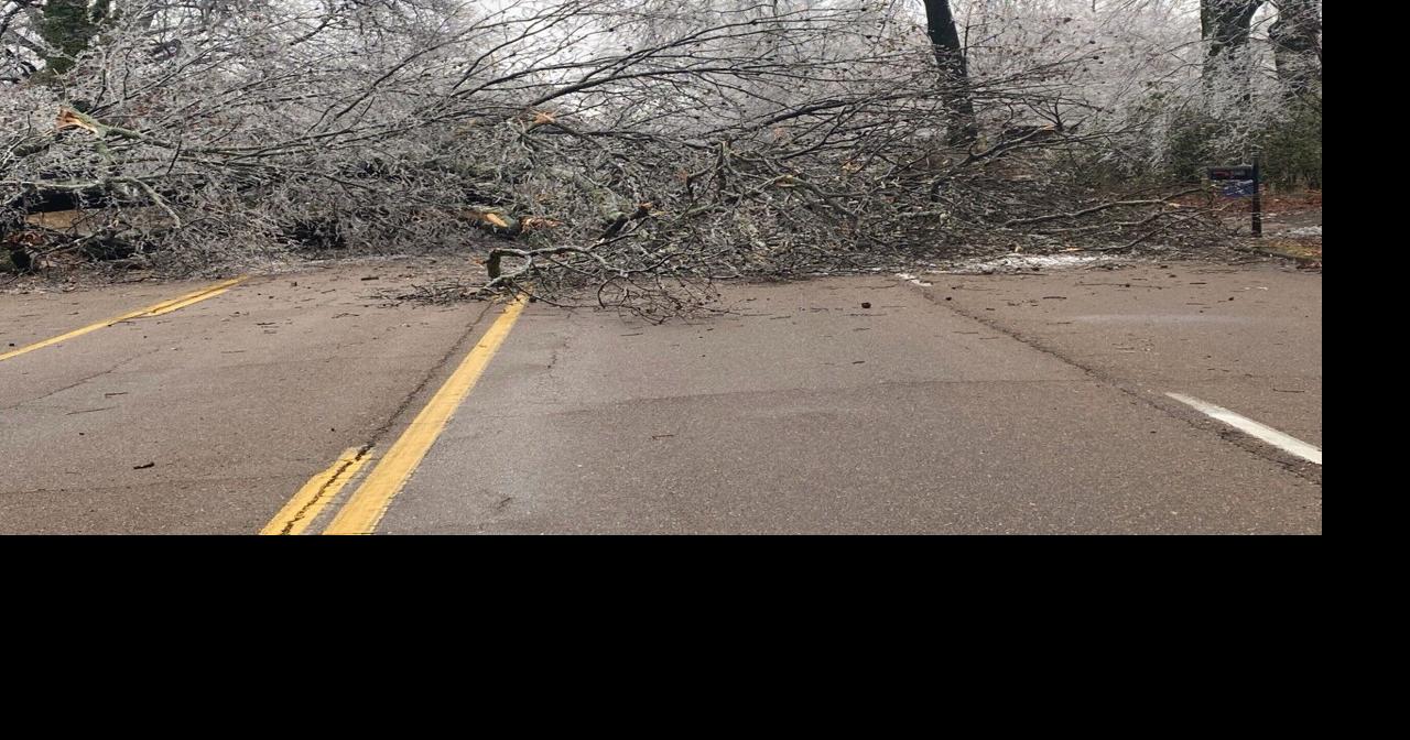 Tennessee man dies after driving into tree, THP says | News ...